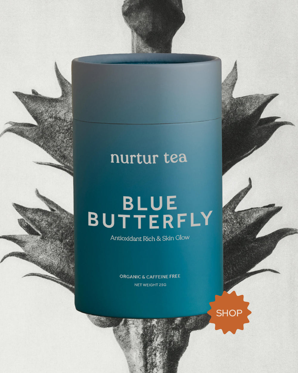 Herbal Teas For Sleep, Pregnancy & More – Nurtur Tea