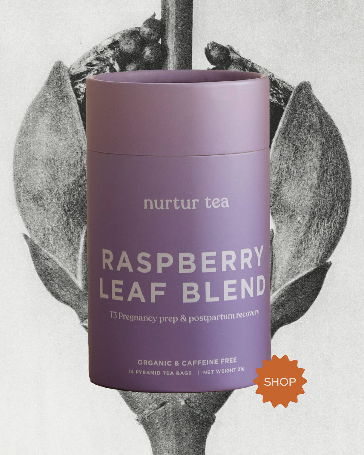 Red Raspberry Leaf Tea – Nurtur Tea